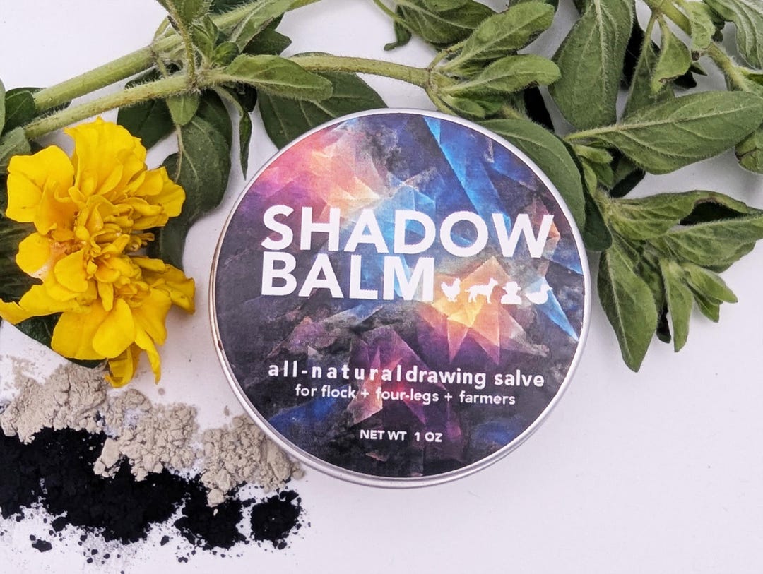 Shadow Balm Drawing Salve- Activated Charcoal + Bentonite Clay Poultice ...
