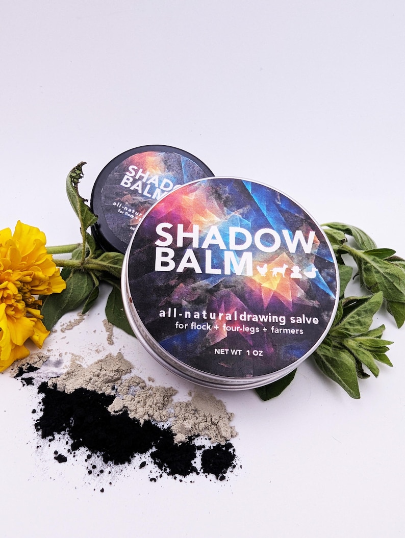 Shadow Balm Drawing Salve- Activated Charcoal + Bentonite Clay Poultice ...