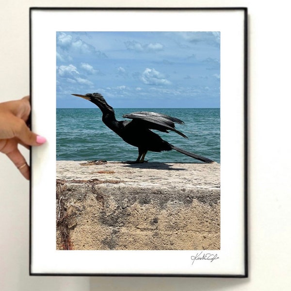 Anhinga - Etsy