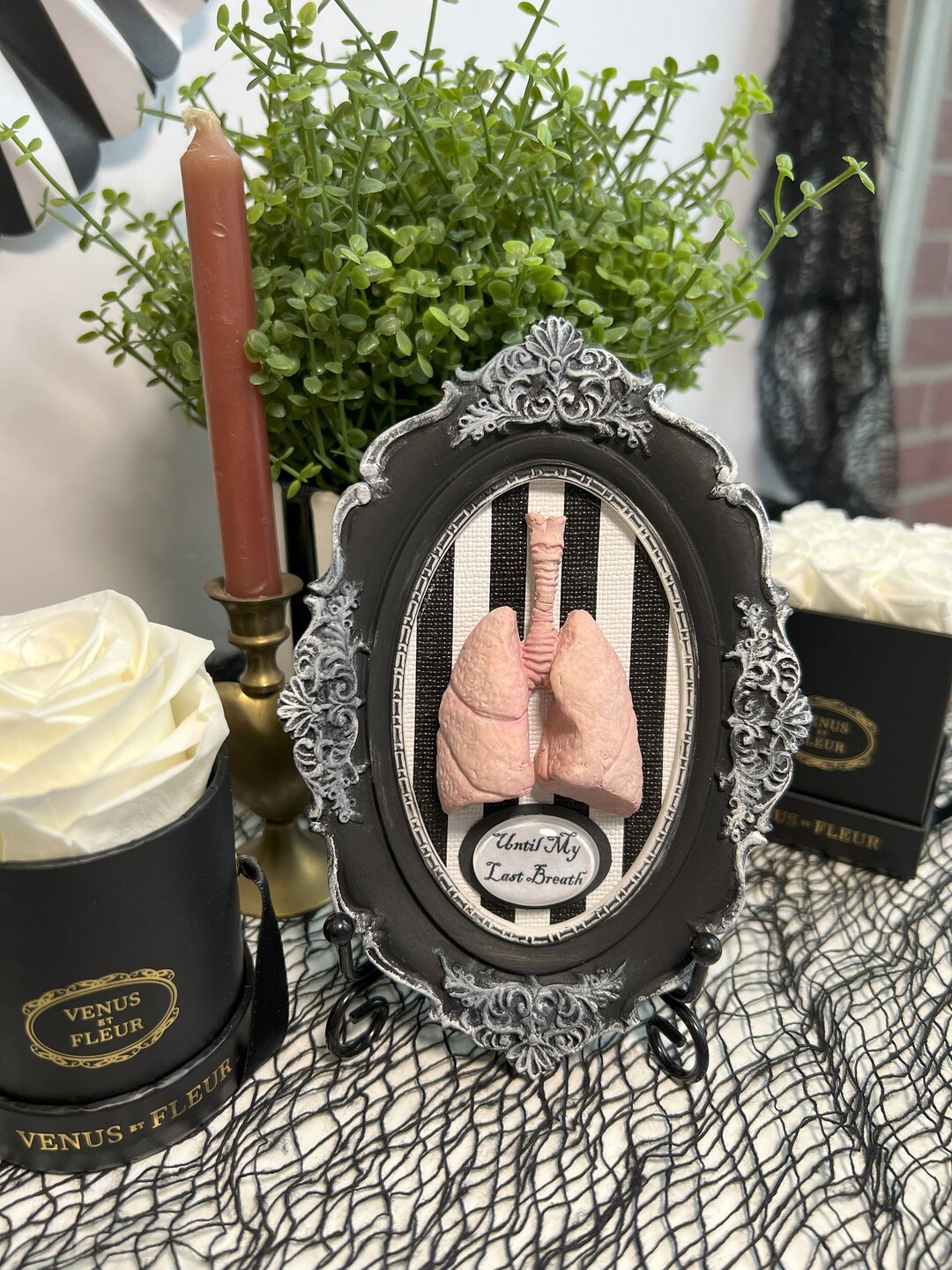 Until My Last Breath - Framed Anatomical Human Lung Display ...