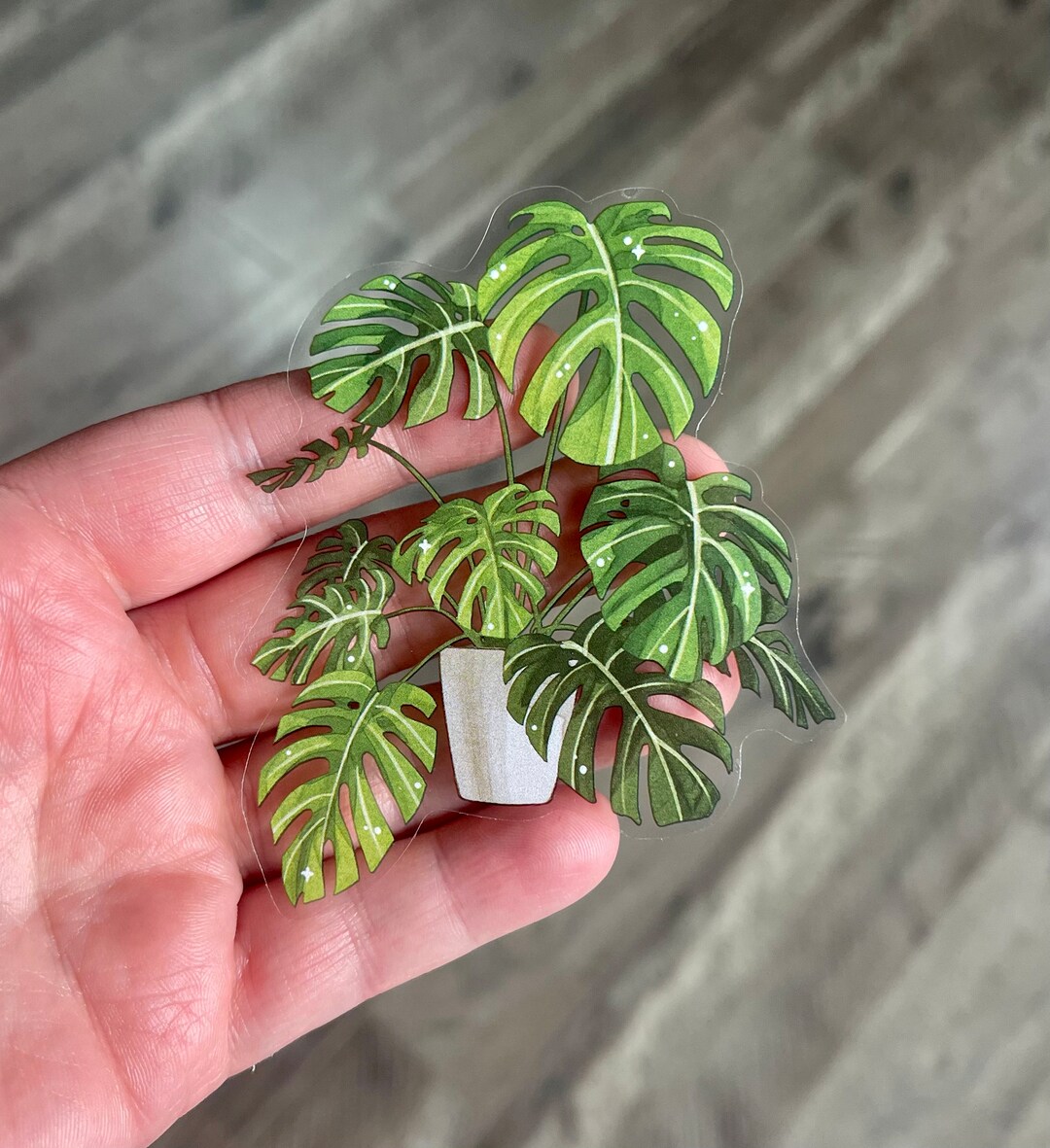 Monstera Sticker - Etsy