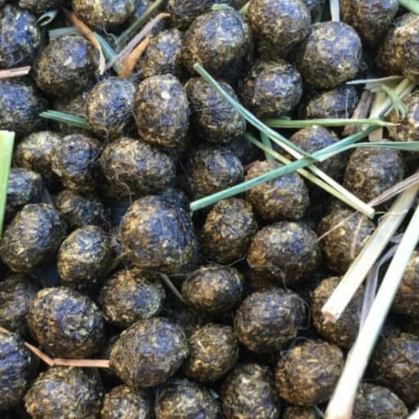 Rabbit Manure - Etsy