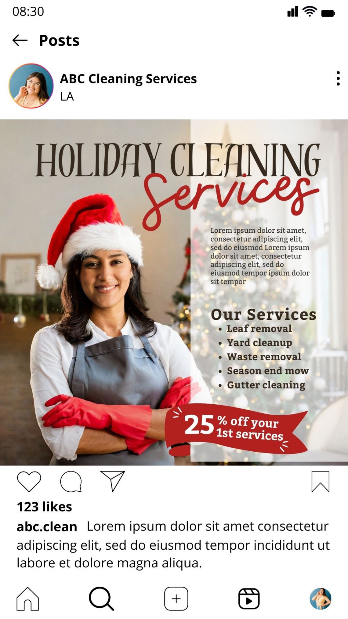Holiday Cleaning Services Flyer Template | Canva | 8.5 X 11 Inch ...