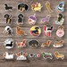 Cute Dachshund Aka Wiener Dog Stickers Pack of 10 - Etsy