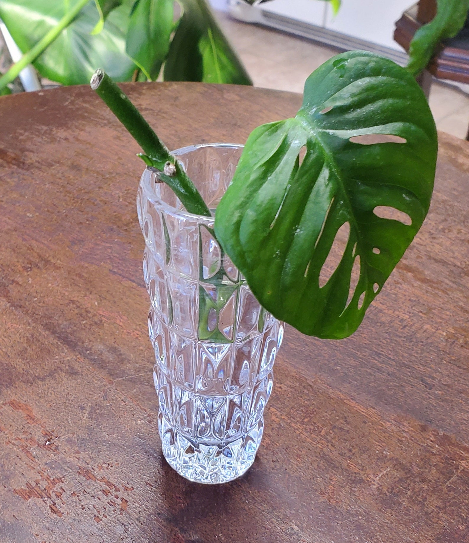 Vintage Fostoria Crystal Bud Vase - Etsy