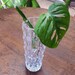 Vintage Fostoria Crystal Bud Vase - Etsy