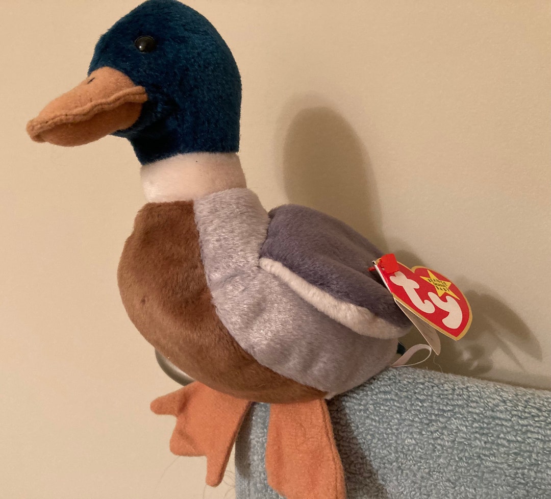 Jake the Drake Beanie Baby RARE Vintage “484” - Etsy