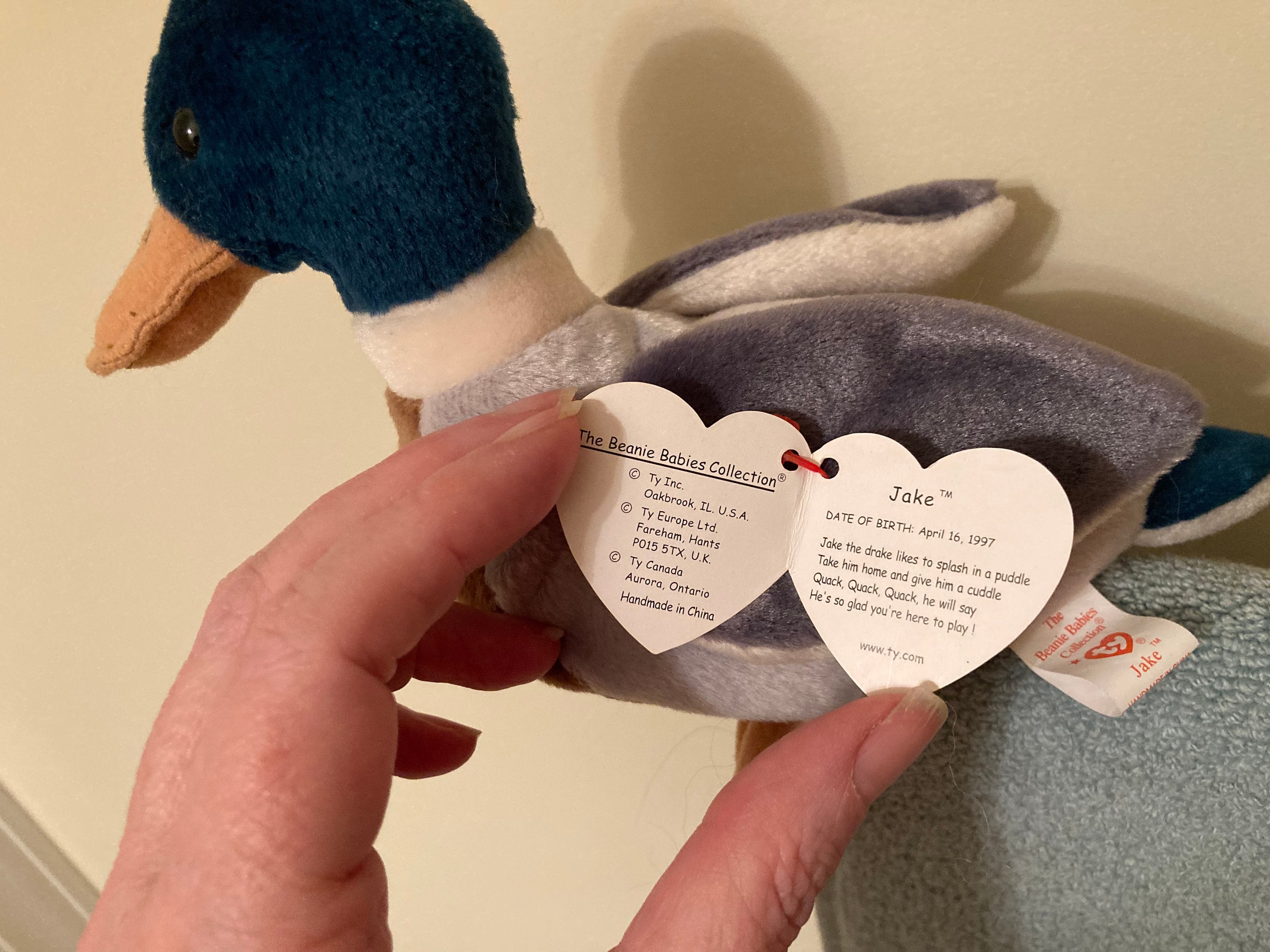 Jake the Drake Beanie Baby RARE Vintage 484 - Etsy
