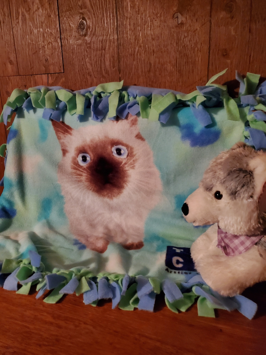 Fuzzy, Cozy, Blue and Green Cat Baby Blanket - Etsy