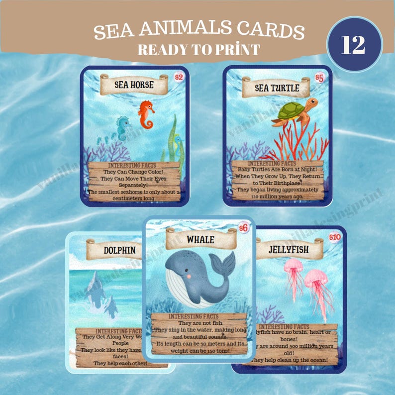 Sea Animals Flashcards: Fun Ocean Learning Cards (A4 Digital Download ...