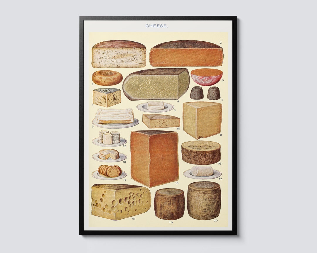 Vintage Cheese Illustration Print, Food & Drink Wall Art Decor, Ideal ...