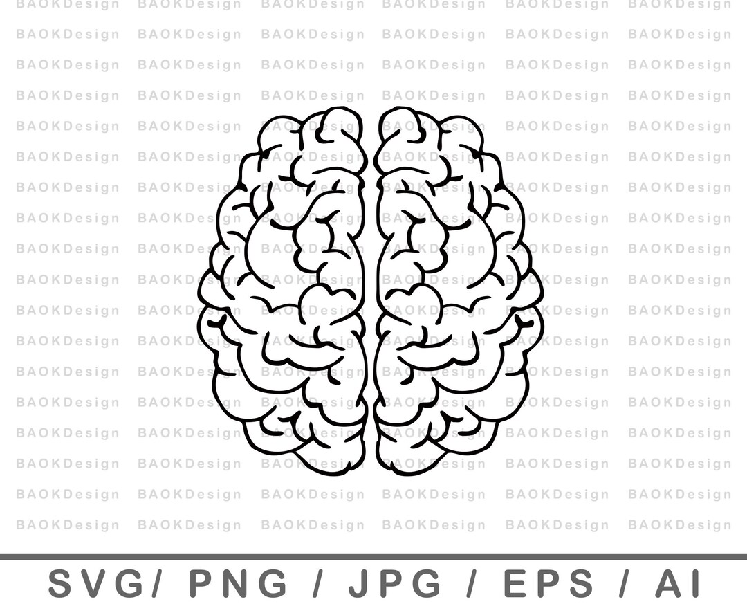 Brain, Brain SVG, Brain PNG, Brain JPG, Brain Eps, Brain Ai - Etsy