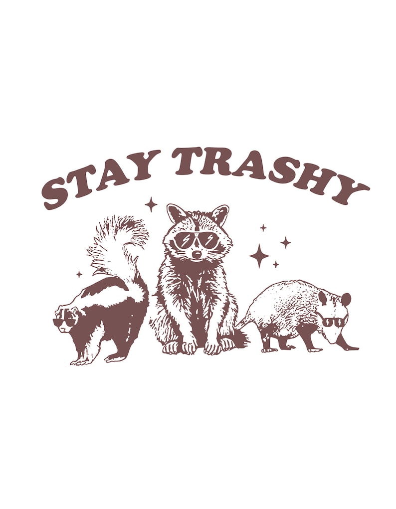 Stay Trashy Raccoon SVG PNG: Funny Decal Design (digital Download) - Etsy