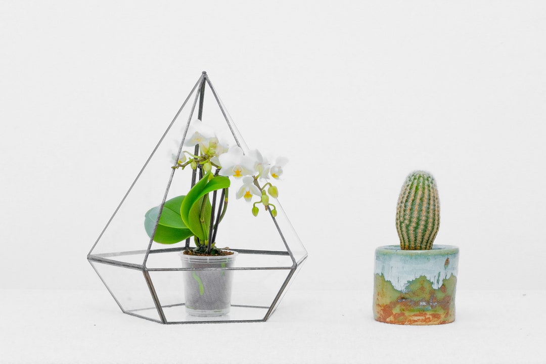 Pentagon Prism Geometric Terrarium, by Kraftzon, Glass Container ...