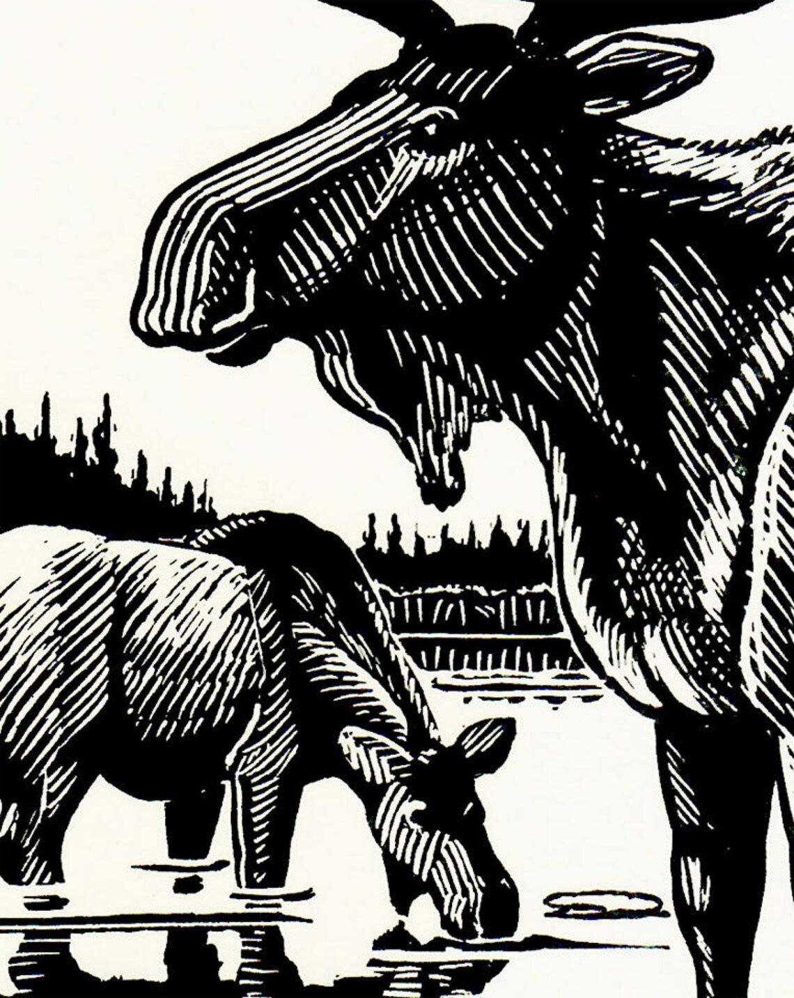 Moose Engraving - Etsy