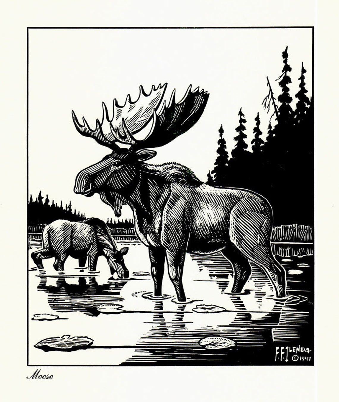 Moose Engraving - Etsy