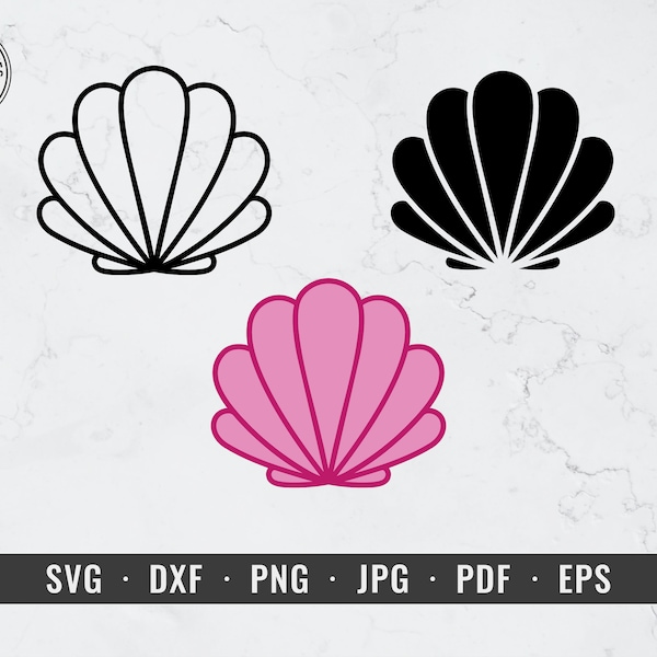 Sea Shell Svg - Etsy