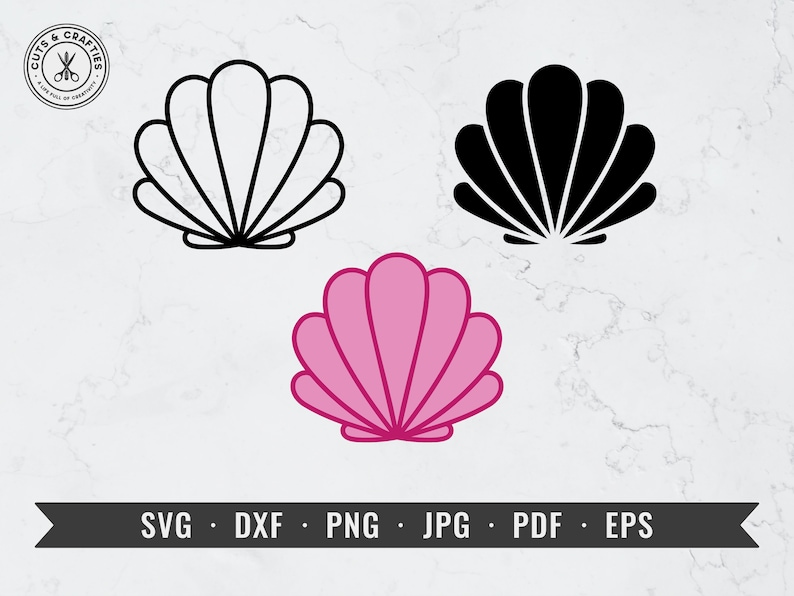Seashell Svg Sea Shell Svg Beach Svg Ocean Svg Dxf Png - Etsy