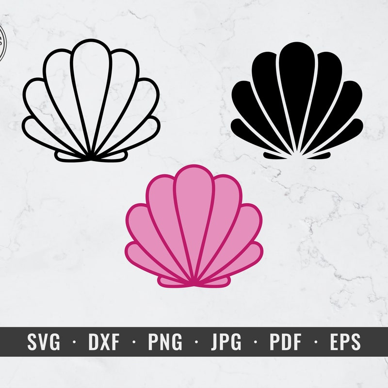 Sea Shell Svg - Etsy