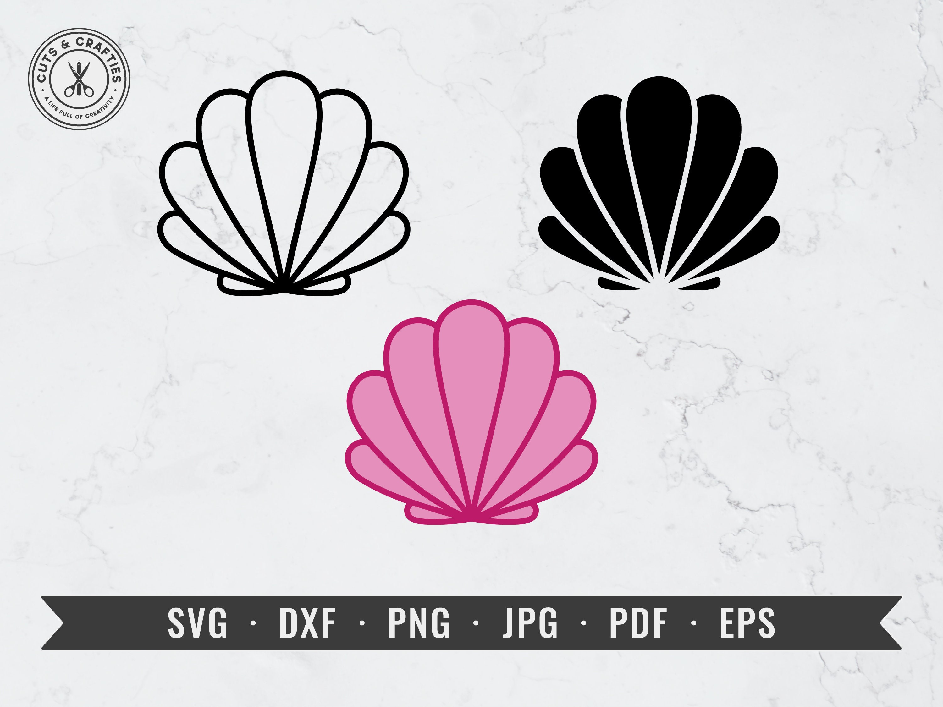 Seashell svg, Sea Shell svg, Beach svg, Ocean svg, dxf, png, jpg, pdf ...