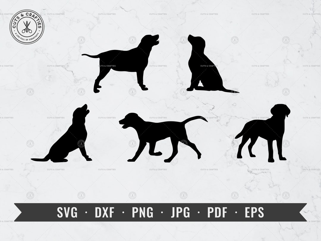 Labrador Retriever Svg, Labrador Dog Svg Labrador Silhouette Bundle Svg ...