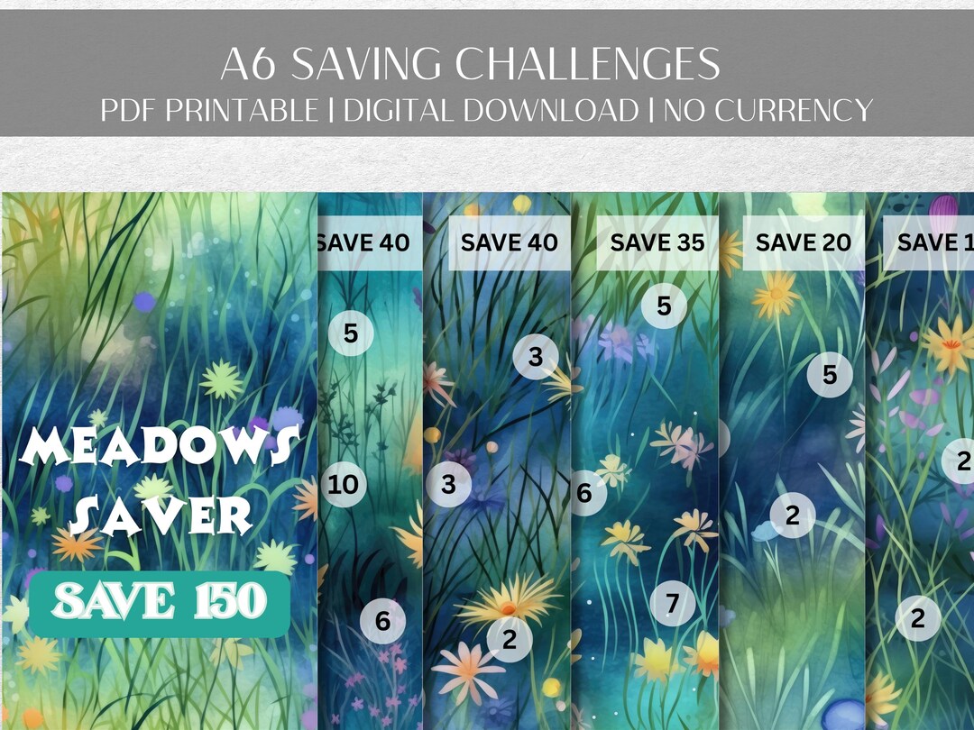 Floral Meadows Savings Challenge Set, A6 Money Saving Trackers ...