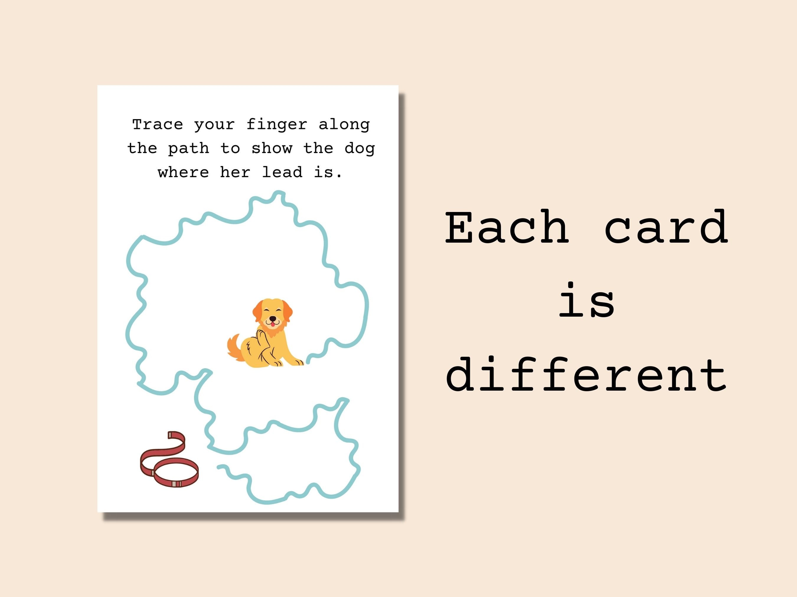 Animal Themed Finger Tracing Flashcard: Primary School Teaching ...