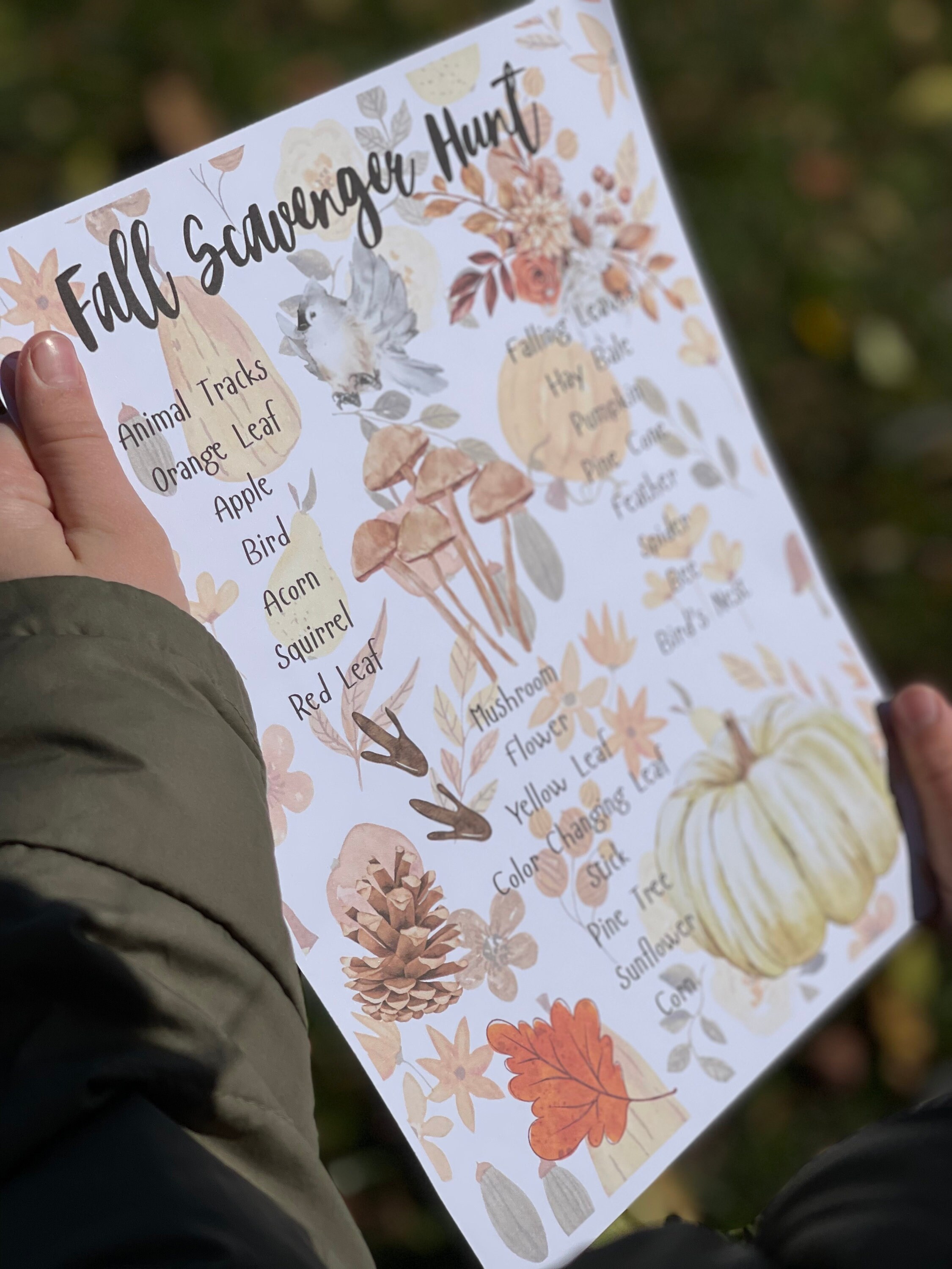 Fall Bucket List and Scavenger Hunt Bundle Instant Download - Etsy