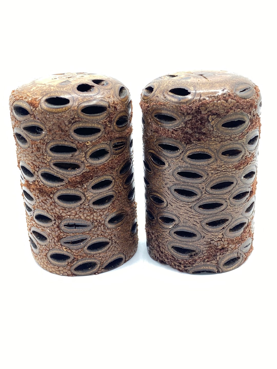 Banksia Nut Tree Pod Wooden Salt and Pepper Shakers Australia - Etsy