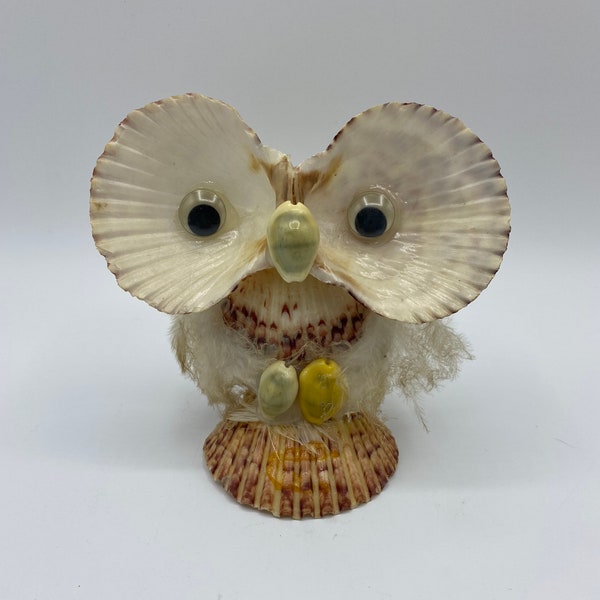 Buy Shell Art - Etsy