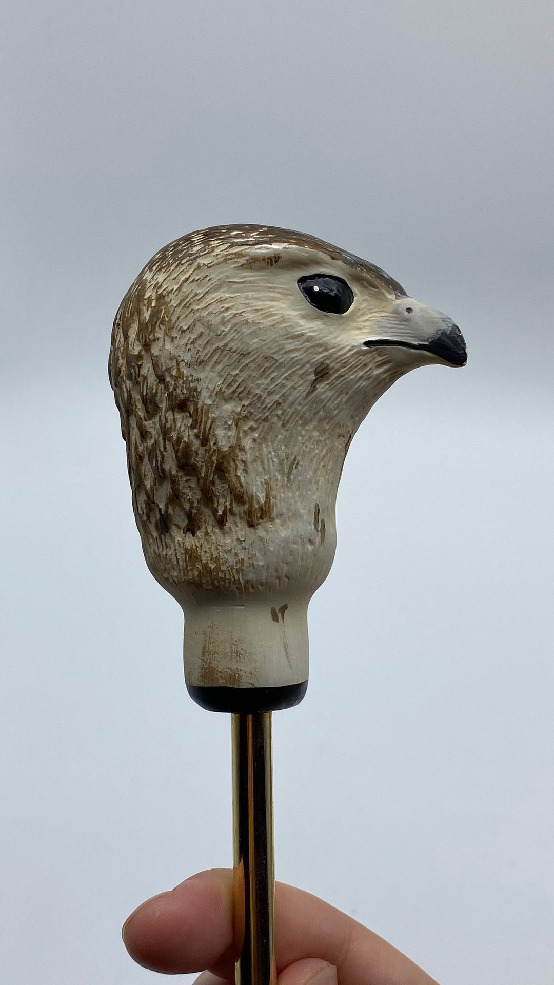 Figural Carved Resin Hawk Head Bird Shoe Horn - Etsy