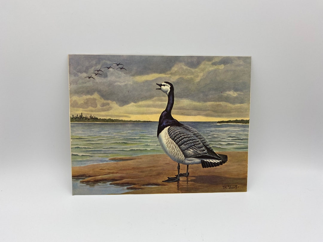 Vintage Print of Watercolour Painting by T. M. Shortt, Frameable ...