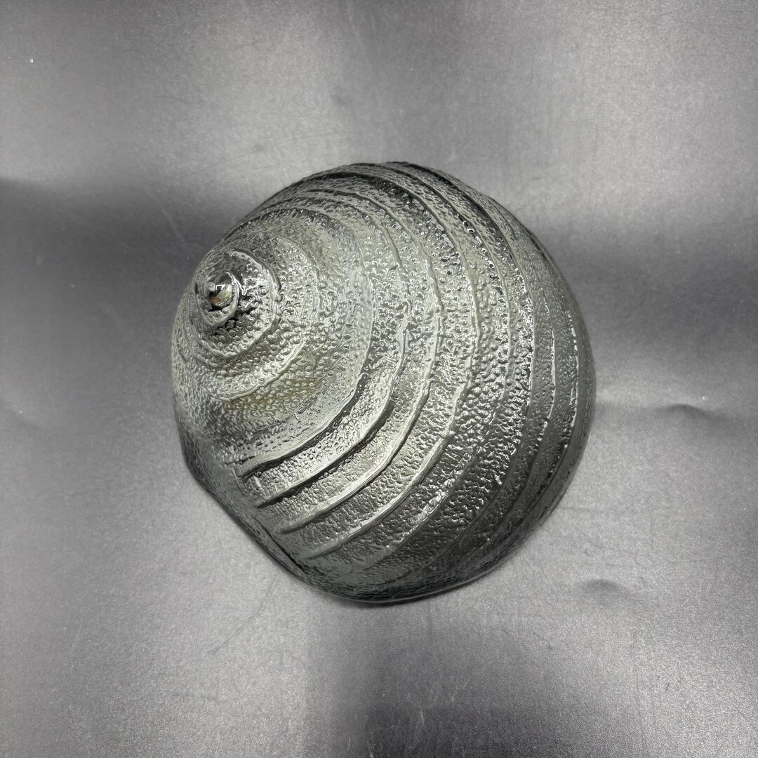 Vintage MCM Clear Sea Swirl Shell Paperweight 4” - Etsy