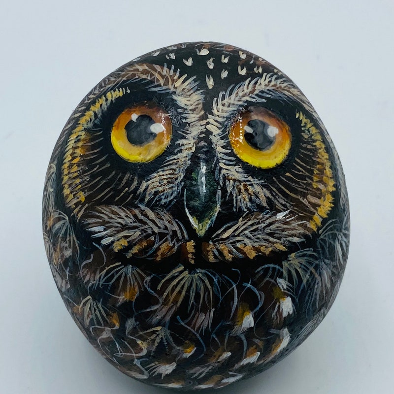 Painted Owl Rocks - Etsy