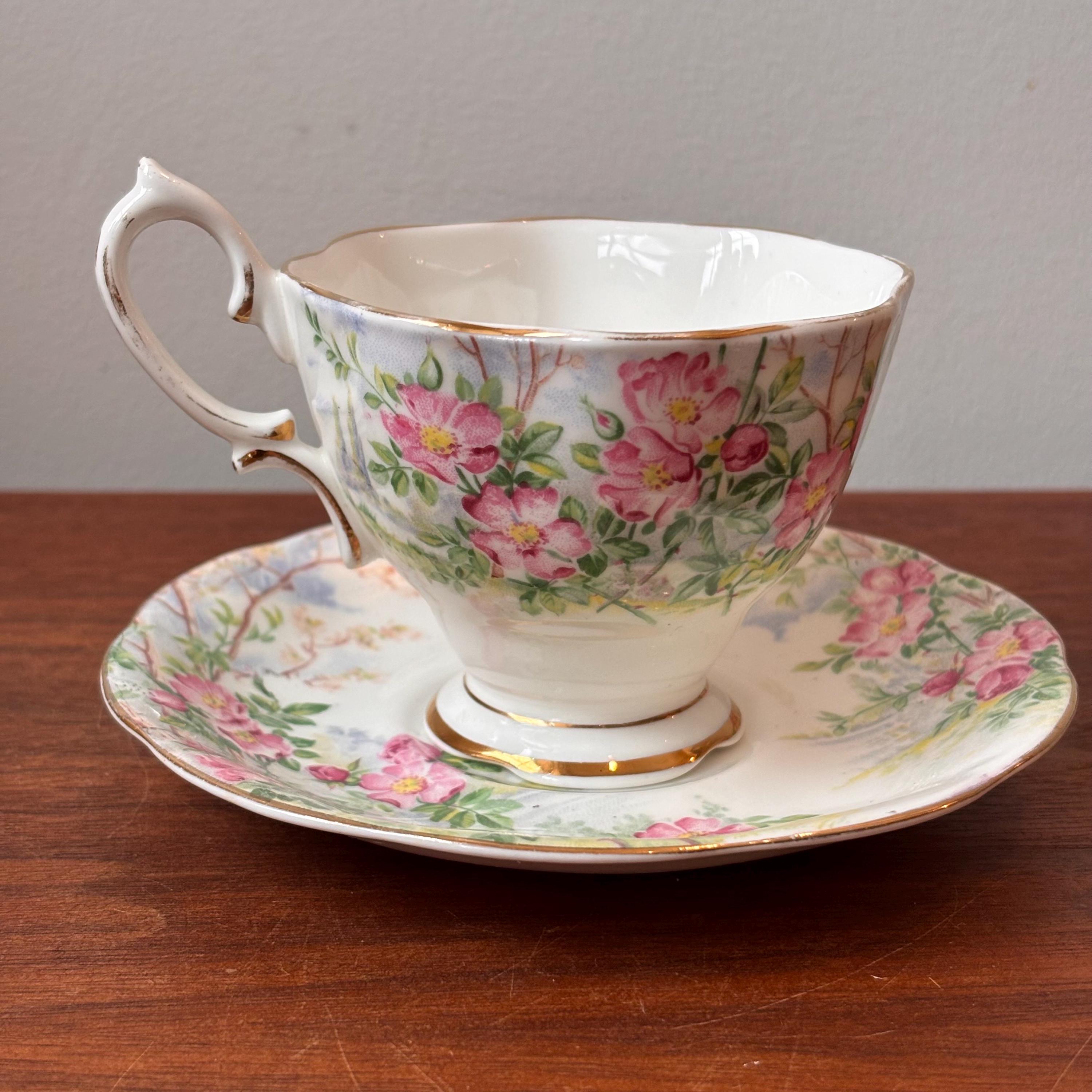 Vintage Royal Albert Wild Rose Tea Cup and Saucer, Bone China - Etsy
