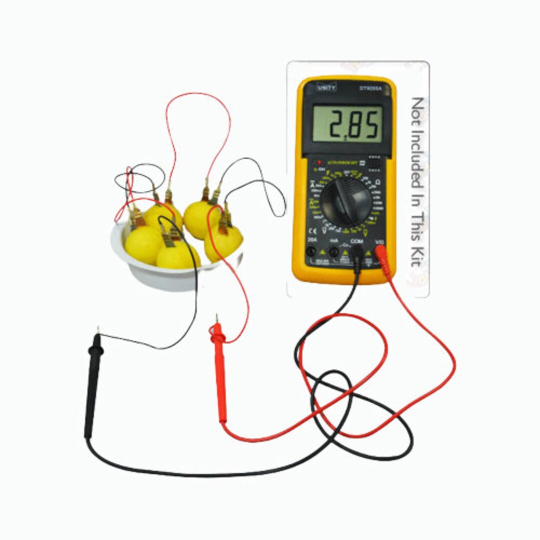 Lemon Battery - DIY Science Experiment Project Kit - Etsy
