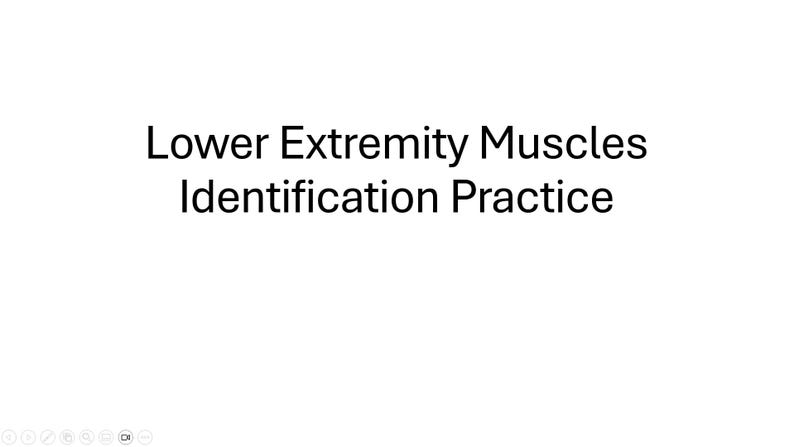 Muscle Anatomy Flashcards: Upper & Lower Extremities (powerpoint ...