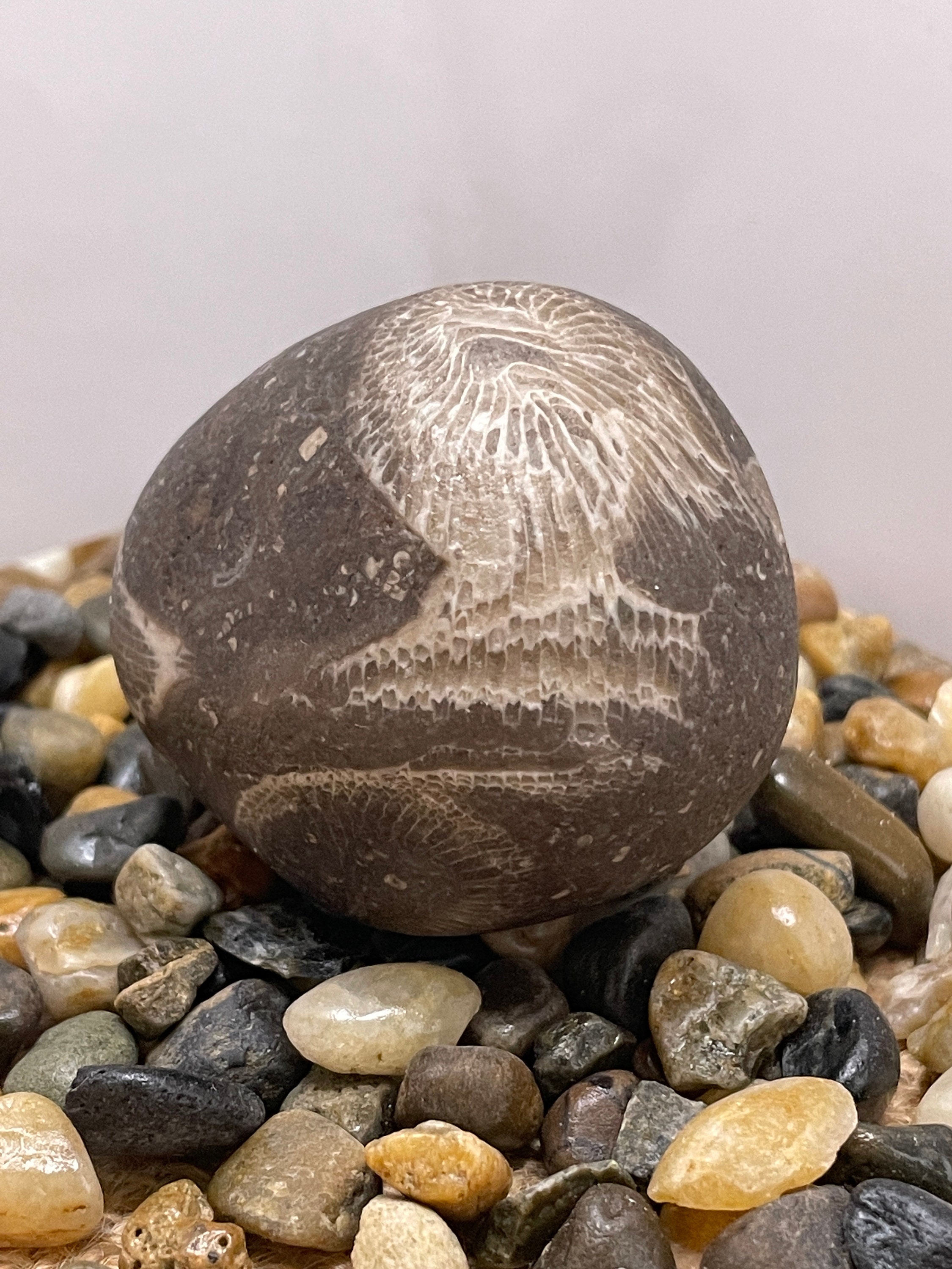 Smooth Rock Clipart