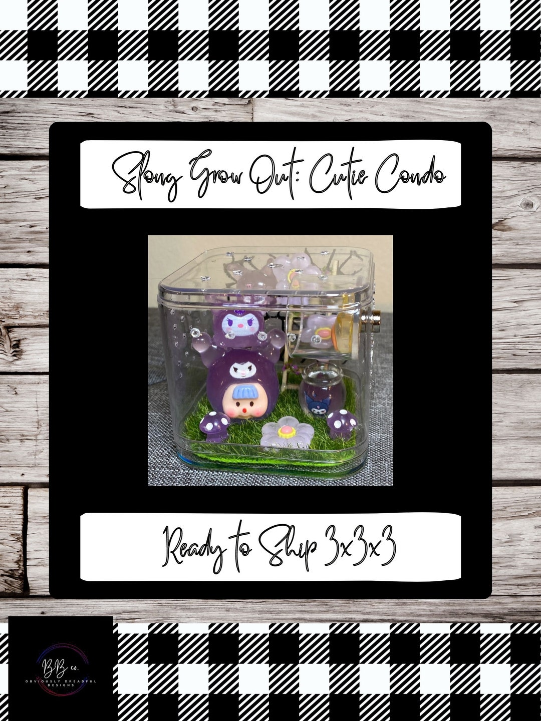 Jumping Spider Cutie Condo Sling Grow Out 3x3 Arboreal Spider - Etsy