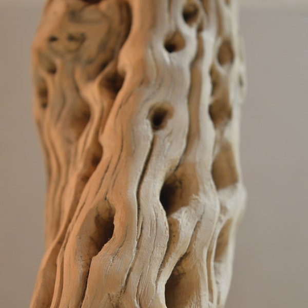 Cholla Wood - Etsy