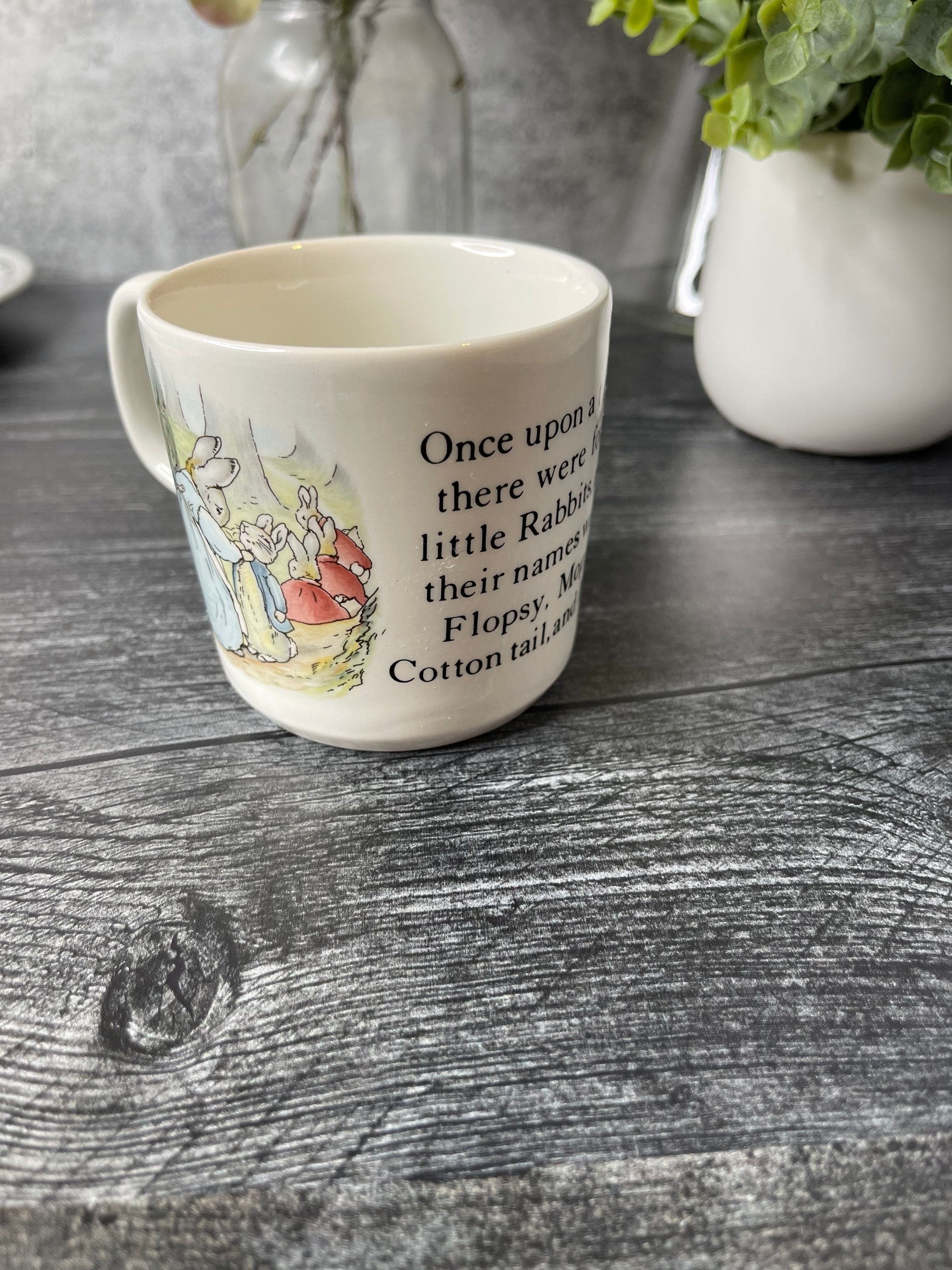 Vintage Peter Rabbit Wedgwood Childs Bowl, Plate and Cup Set | Peter ...