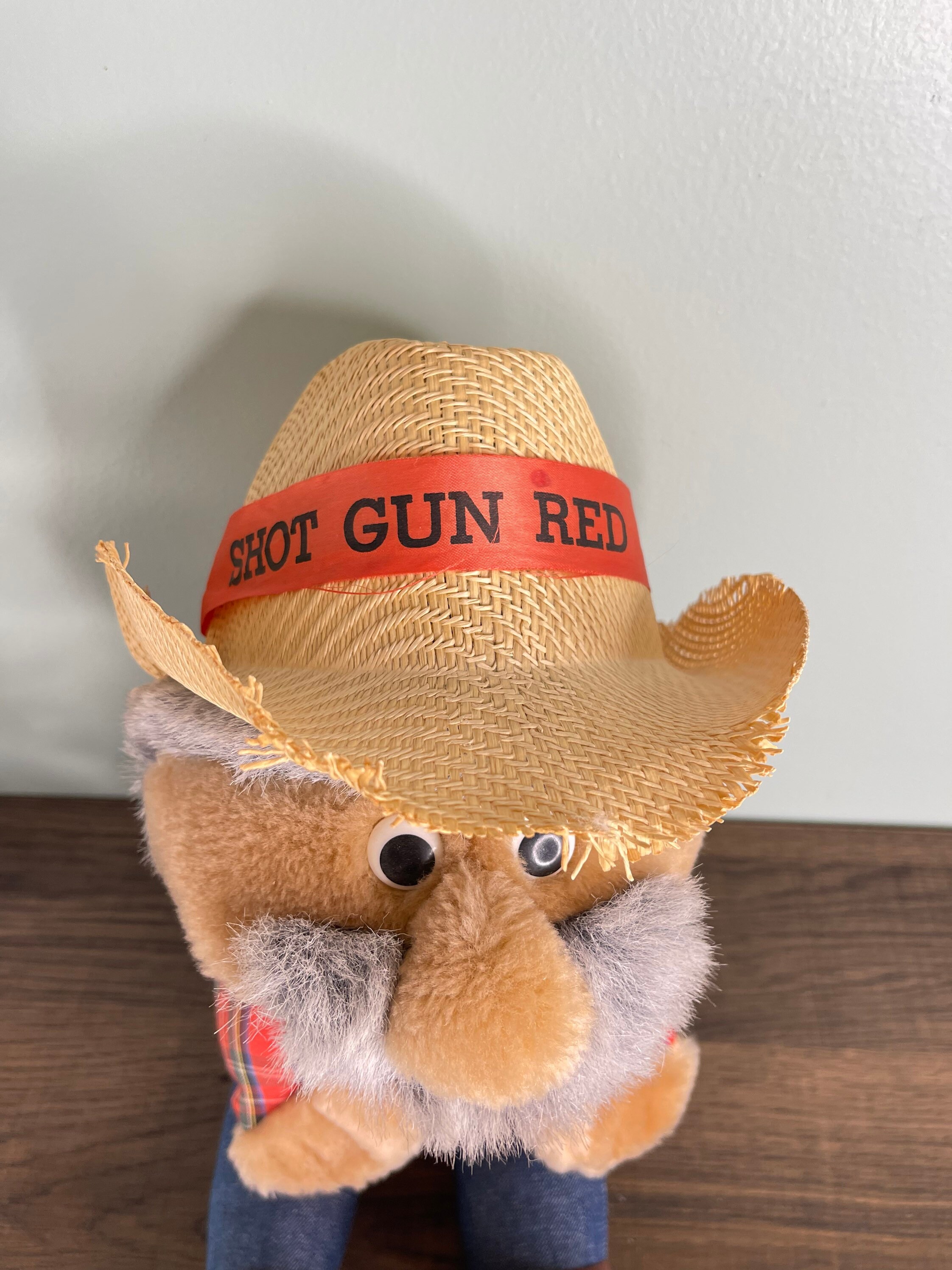 Hee Haw Shotgun Red and Signed Miss Daisy, Nashville Now, Steve Hall - Etsy