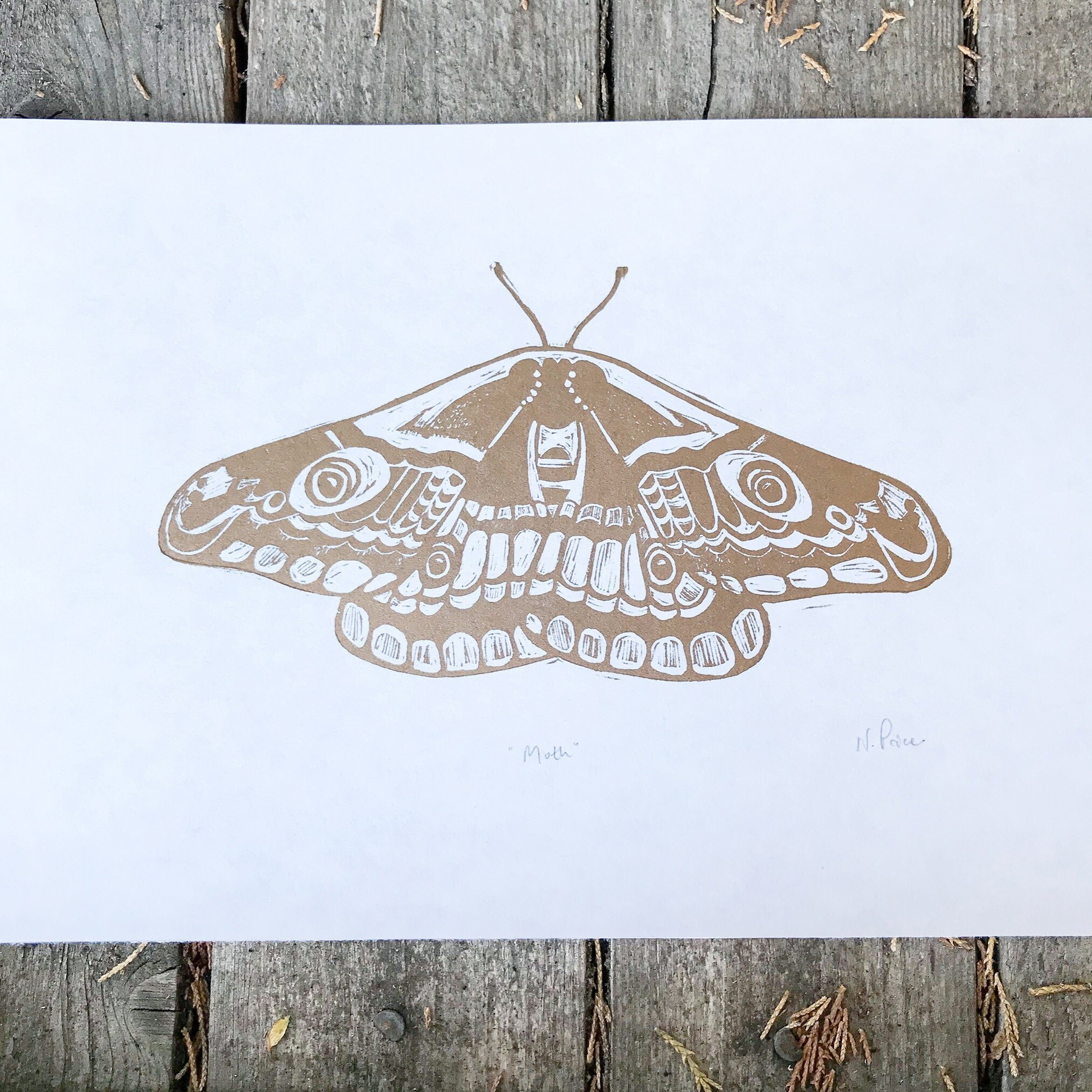 Gold Linocut Print of an Emperor Moth, Signed Original Lino Print ...