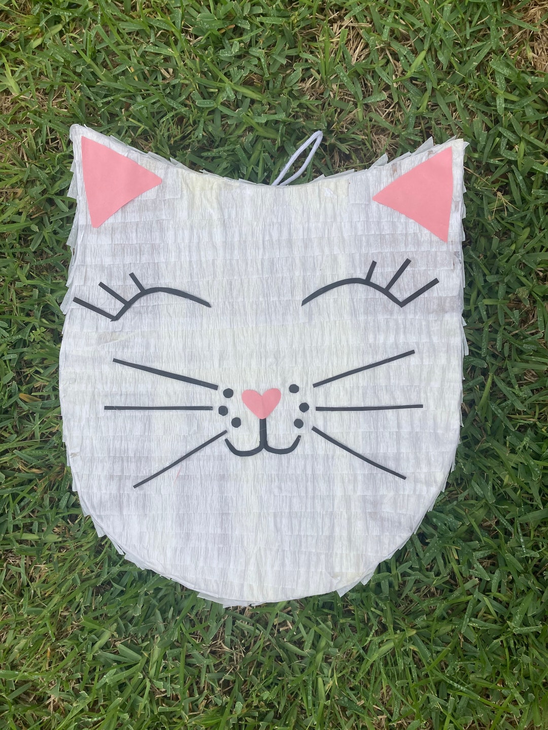 Custom Cat Pinata - Etsy