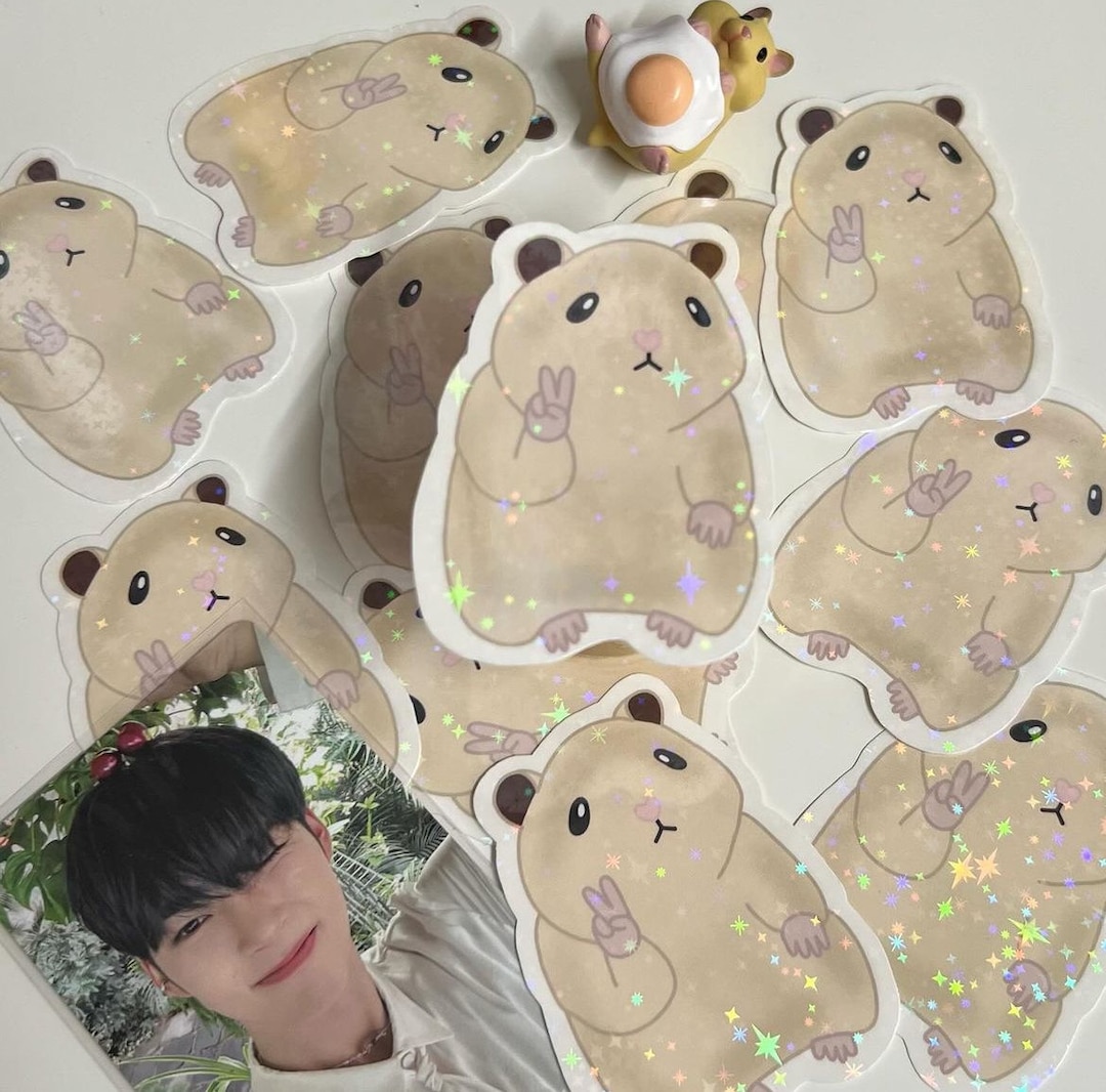 Zerobaseone Hanbin Ddungjjungham Hambin Sticker - Etsy