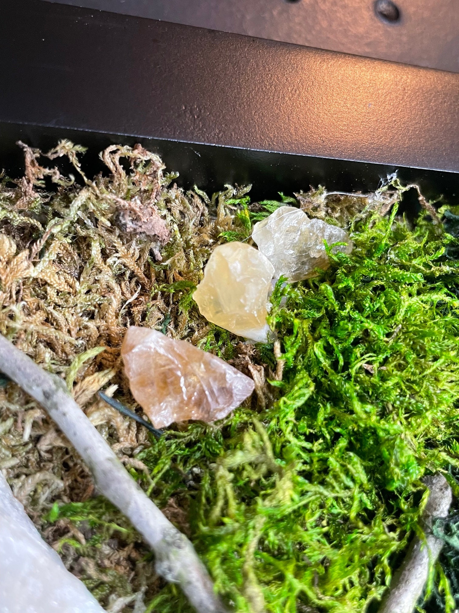 Crystal and Moss Shadow Box - Etsy