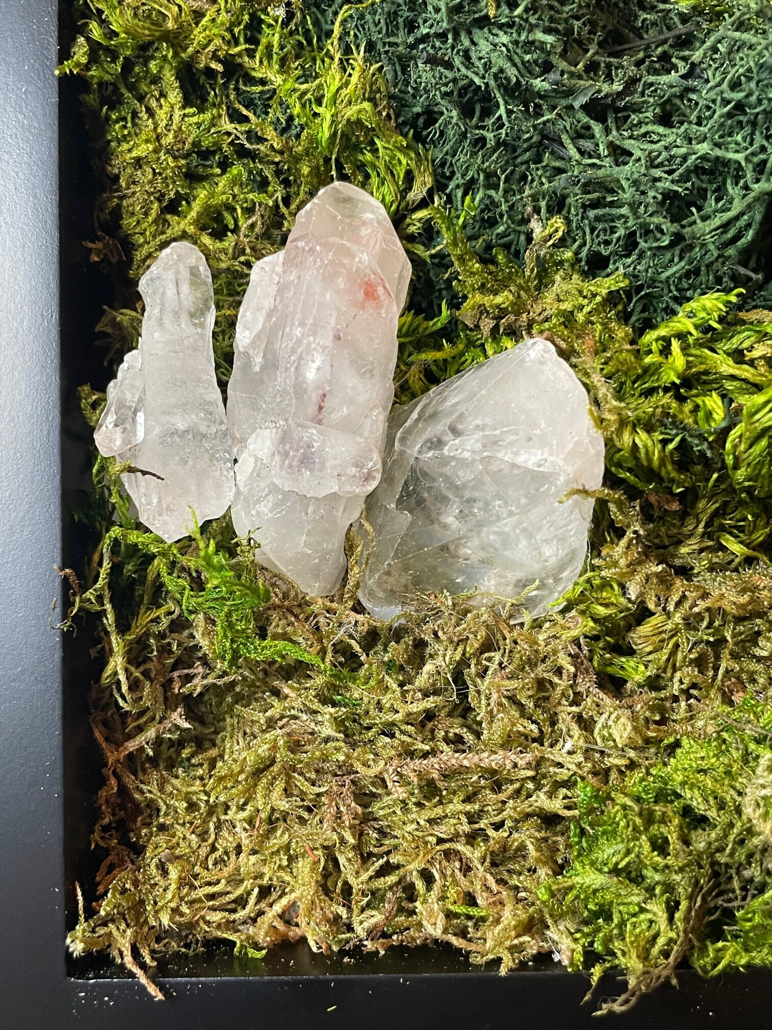 Crystal and Moss Shadow Box - Etsy