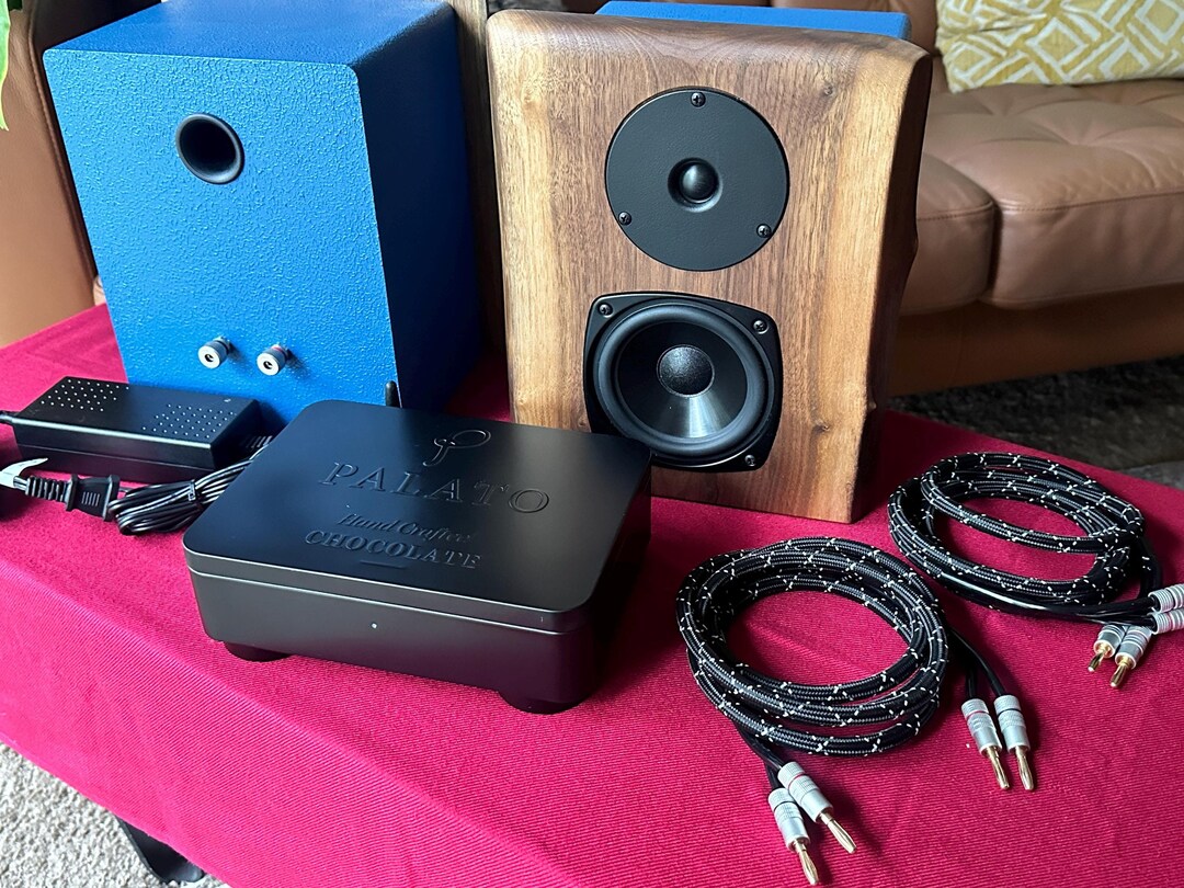 Live Edge Bookshelf Speaker Pair With Custom Amplifier Black Walnut ...