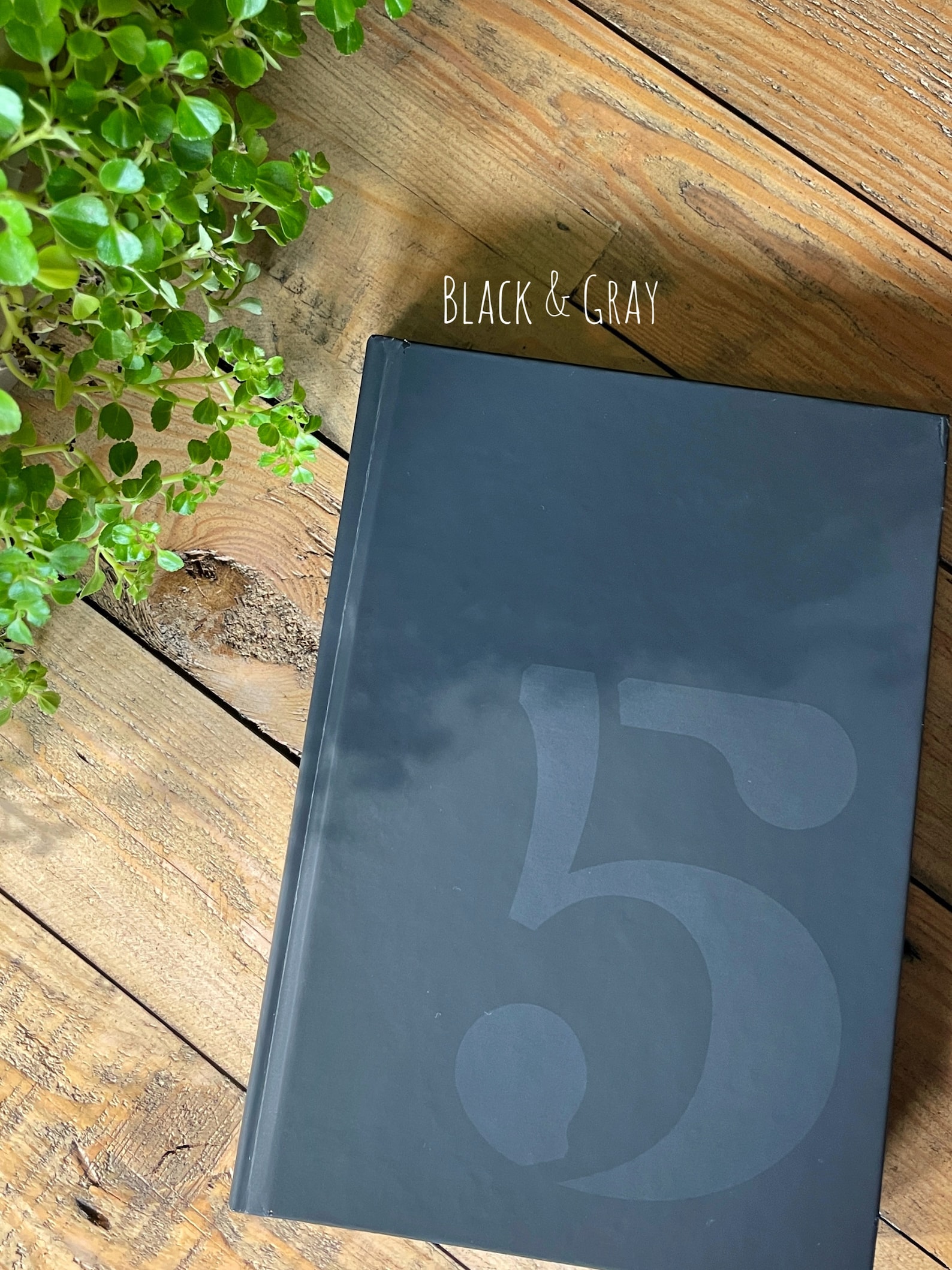 Five-year Journal A5 Hardcover | Line-a-day Memory Book | Color Options ...