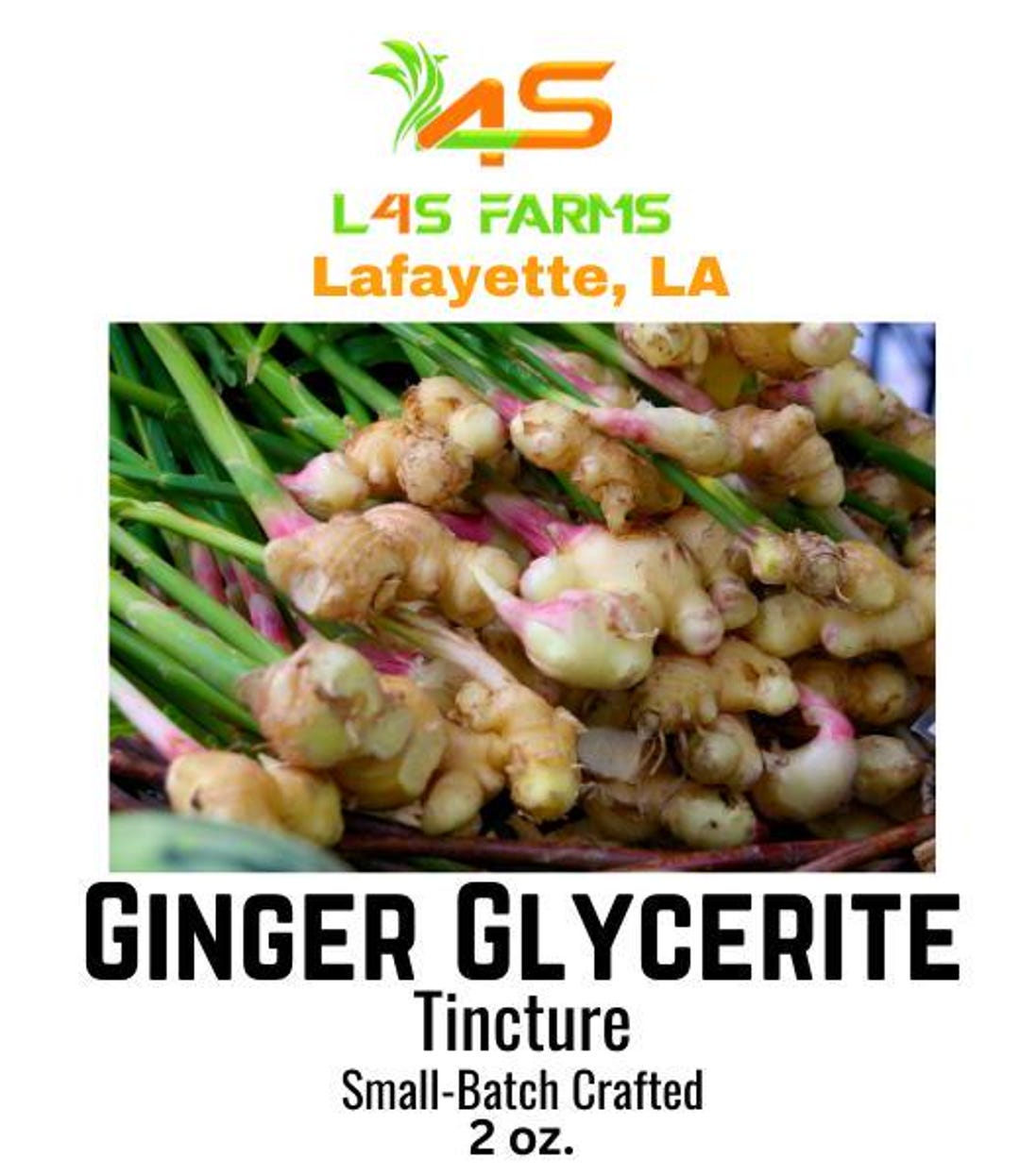 Ginger Glycerite – Small Batch, Alcohol-free Herbal Extract – 2 Oz - Etsy